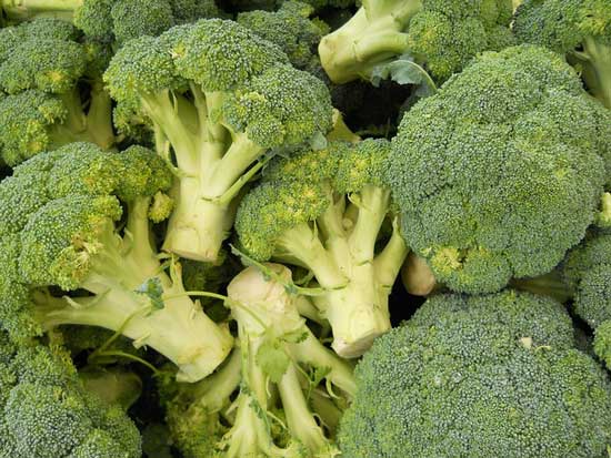 Broccoli facts, an information sheet for kids cooking activities.