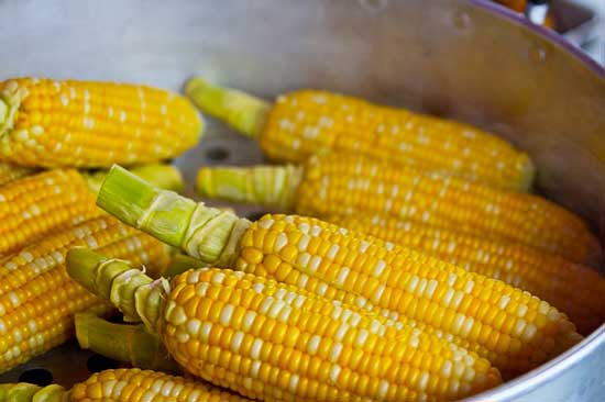 Corn facts, an information sheet for kids cooking activities.