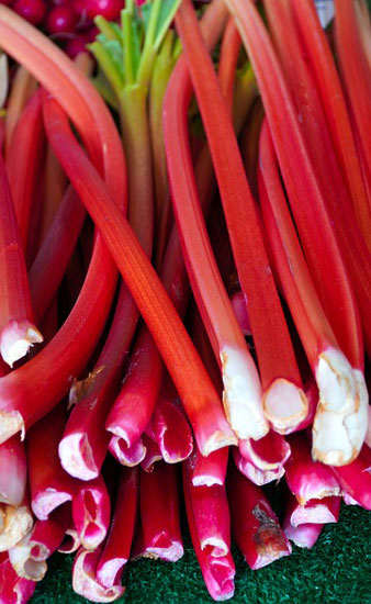 Rhubarb facts, an information sheet for kids cooking activities.