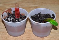 Edible Crafts for Kids